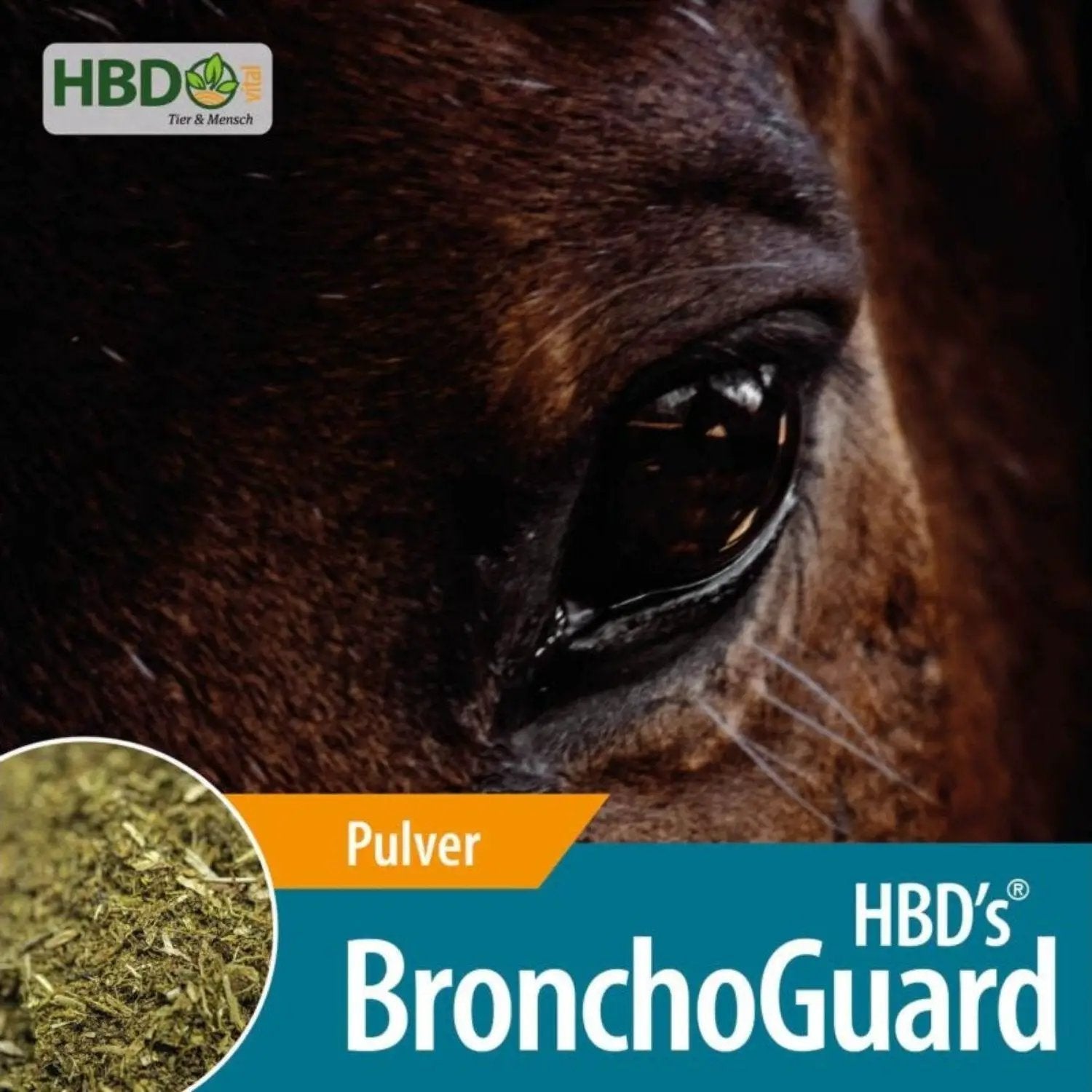 HBD-Agrar - HBD's® BronchoGuard - IQ Horse